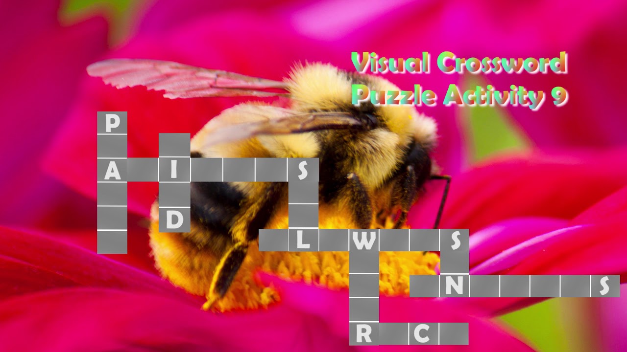 Visual Crossword Puzzle Activity 9