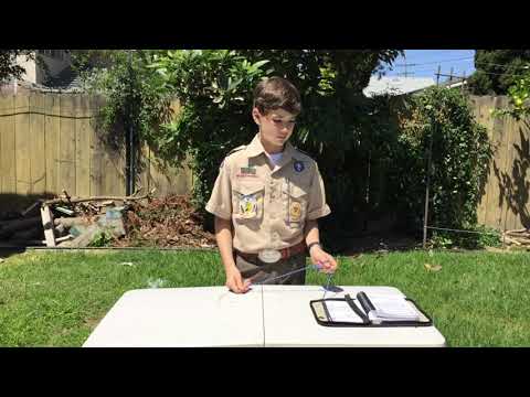 Tenderfoot requirement 3a