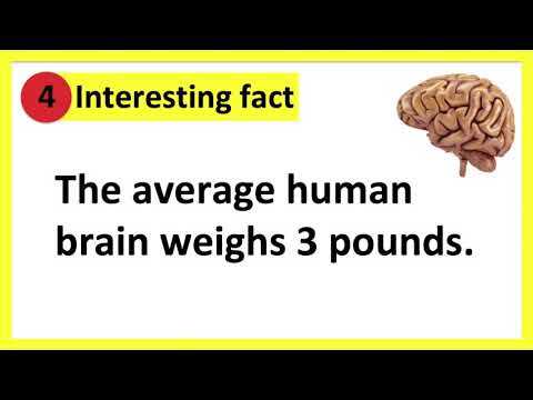 30 interesting facts about the human body 🧠🦴