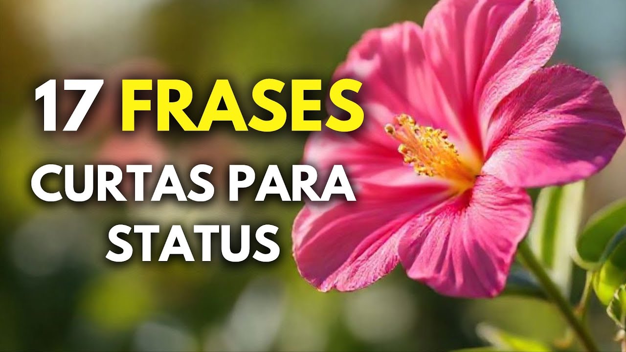 17 Short Phrases for Status Updates | Beautiful Phrases for Reflection, Motivation, and Positivity