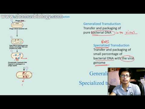 Generalized transduction vs Specialized Transduction Video Lecture - NEET