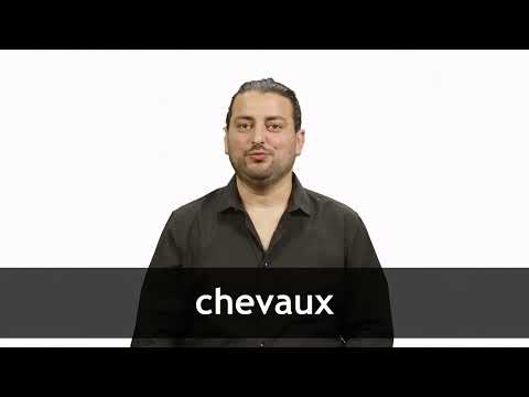 English Translation of “CHEVAUX” | Collins French-English Dictionary