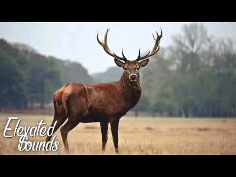 atlas - antlers
