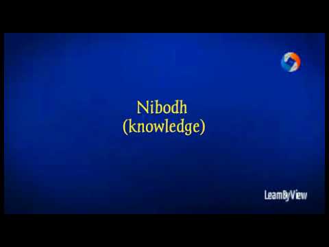 Latest Baby Boy Names Starting with latter " N "