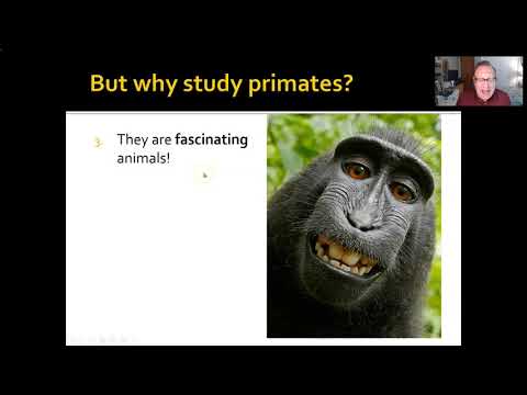 ANTHR 1-Ch 07-01 What is a primate?