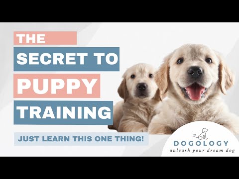 The Secret to Puppy Training - just learn this one thing!