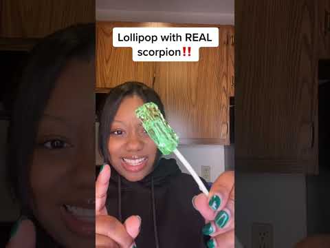 Eating a lollipop with a REAL scorpion!