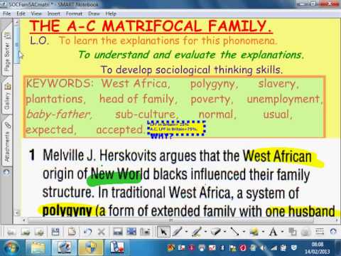 AC MATRIFOCAL FAMILY