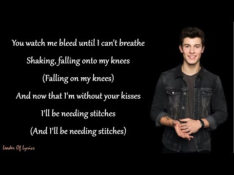 Shawn Mendes - STITCHES (Lyrics)