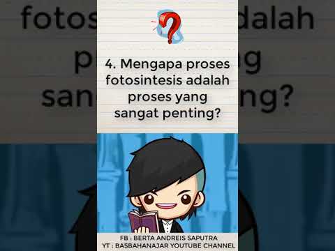 Mengapa proses fotosintesis adalah proses yang sangat penting ?