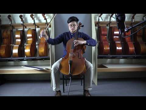 Vivo Replica Guadagnini 1777 Cello for Sale | Linda West Cellos
