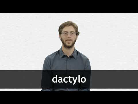 English Translation of “DACTYLO” | Collins French-English Dictionary