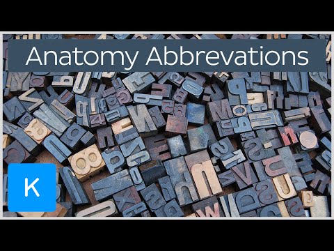 The 31 most common medical terminology (anatomy) abbreviations | Kenhub