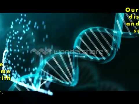 histories of mtDNA haplogroups M1 and U6 in Africa-Devorced