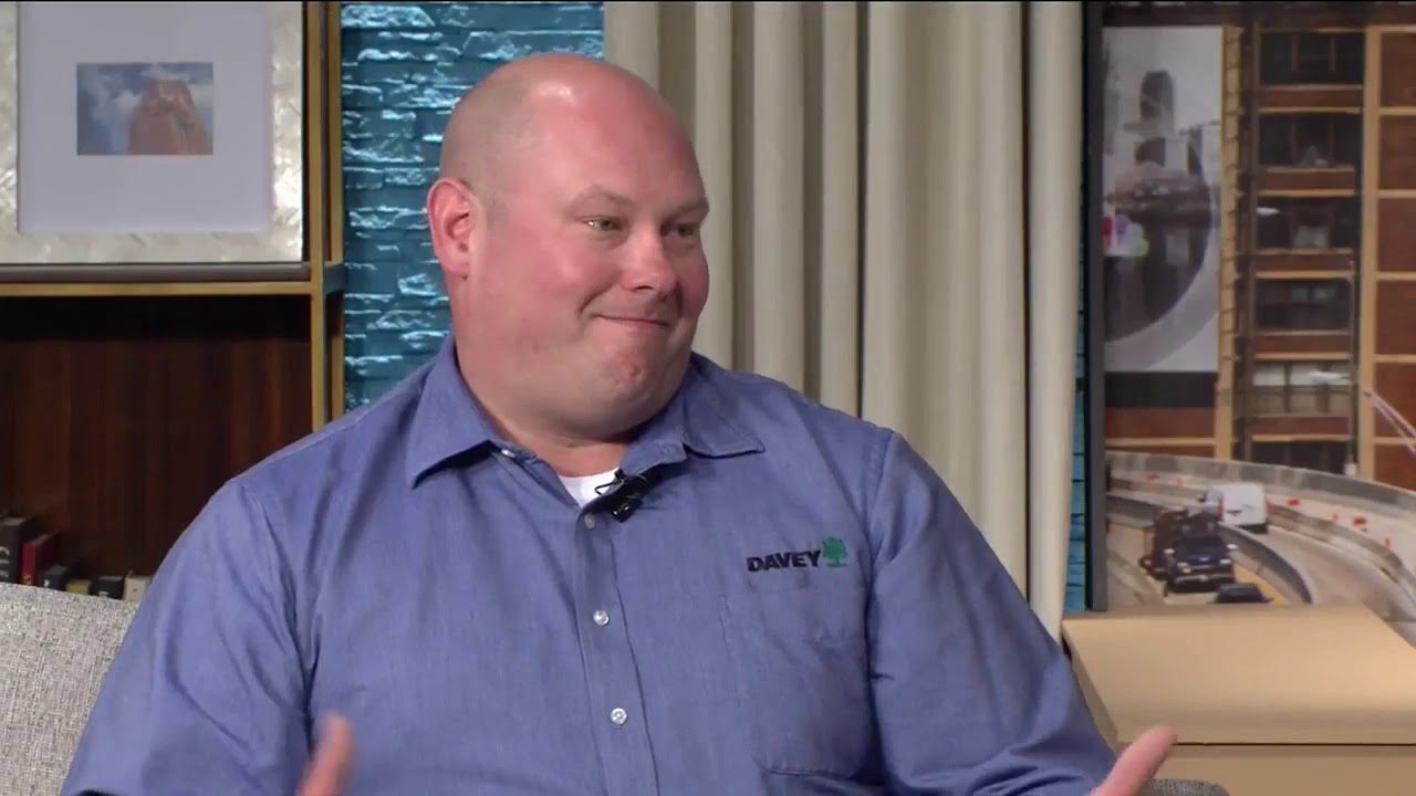 When To Call An Arborist