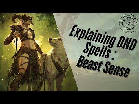 In-Depth D&D Spell Explanations - Beast Sense | 2024 Edition
