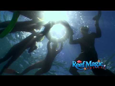Reef Magic Cruises