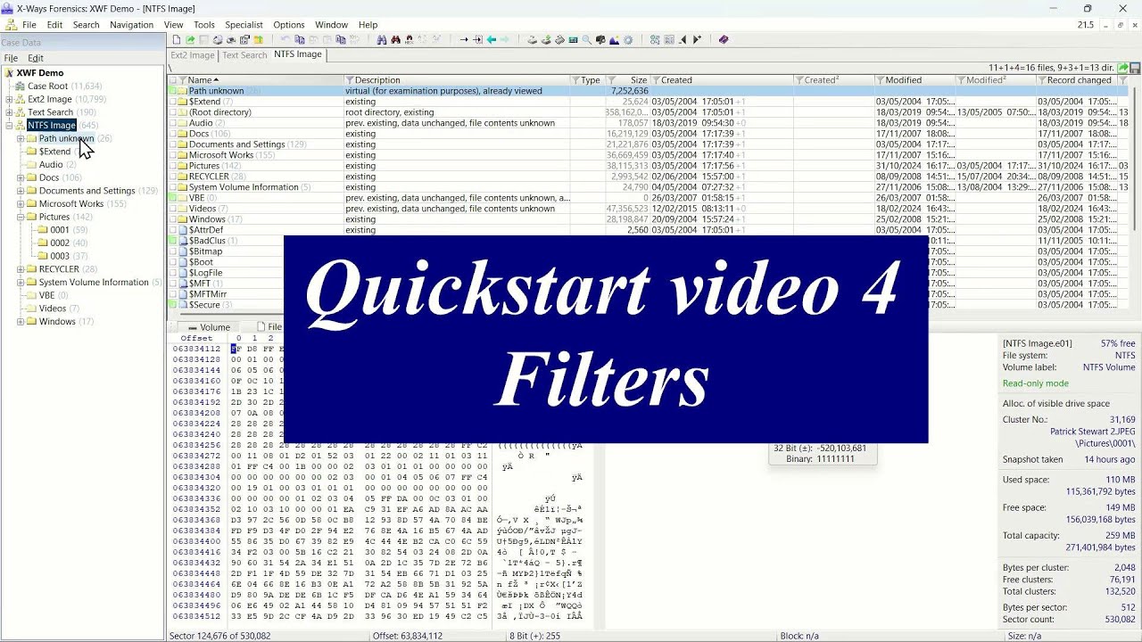 04 - Quick Guide to X-Ways Forensics: Filtering