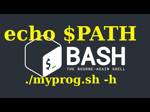 How To Setup and Run Shell Scripts - Linux CLI GUI