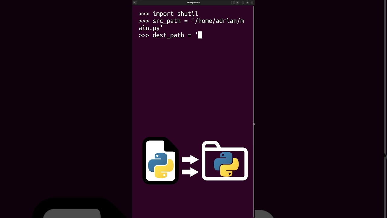 Moving Files with Python! #python #programming