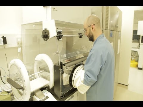 How does career progression work at Amgen?