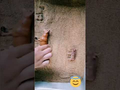 sand game. fun time