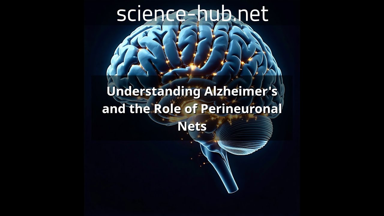Understanding Alzheimer's and the Role of Perineuronal Nets