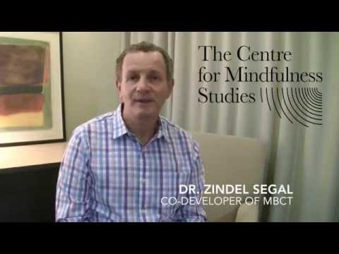 5-Day MBCT Training with Dr. Zindel Segal