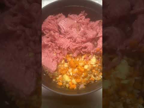 Hundefutter selberkochen!