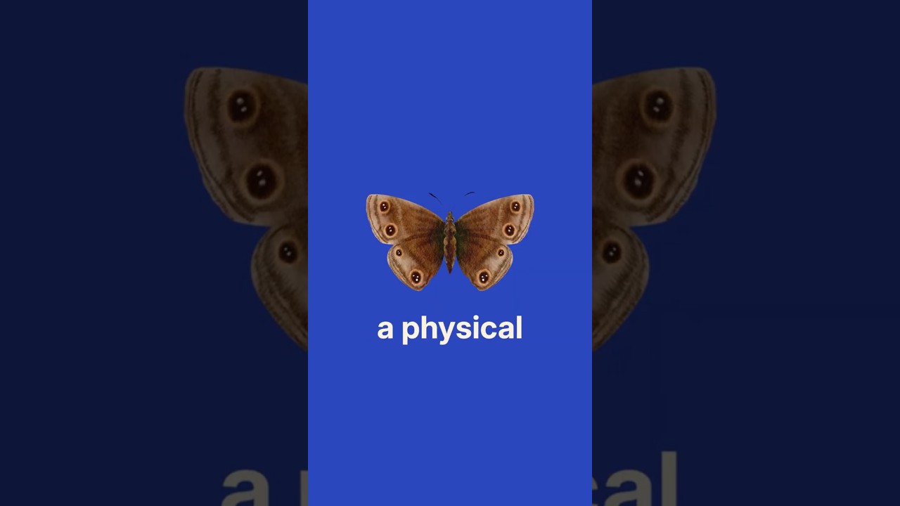 The First Computer “Bug” Was an Actual Moth (Grace Hopper, 1947)