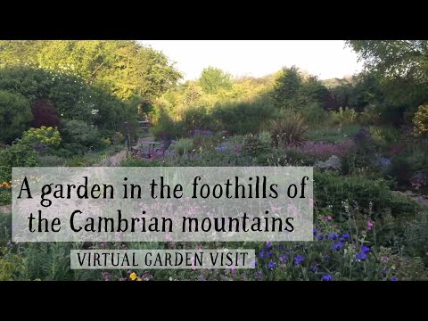 Yr Efail, Ceredigion; a garden in the foothills of the Cambrian mountains