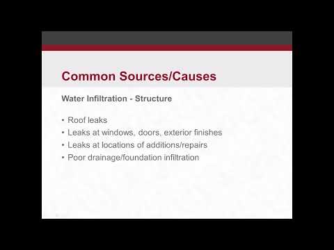 Mold - Common Pathways for a Common Problem
