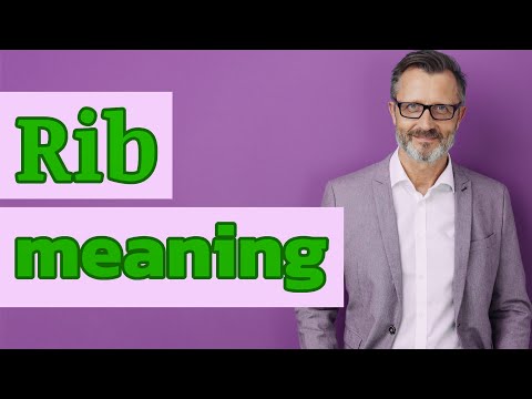 Rib | Meaning of rib