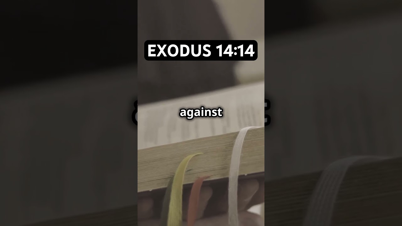 The LORD Fights For You! | Exodus 14:14 | Bible Verses