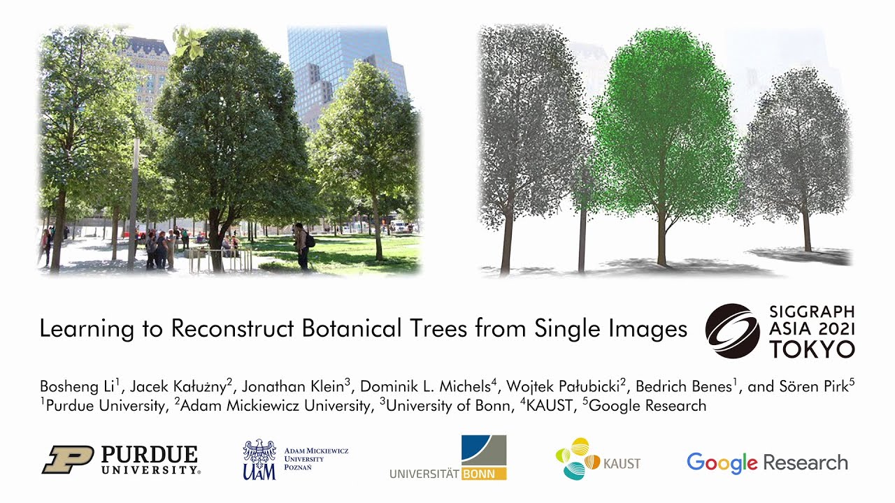 Learning to Reconstruct Botanical Trees from Single Images (SIGGRAPH Asia 2021)