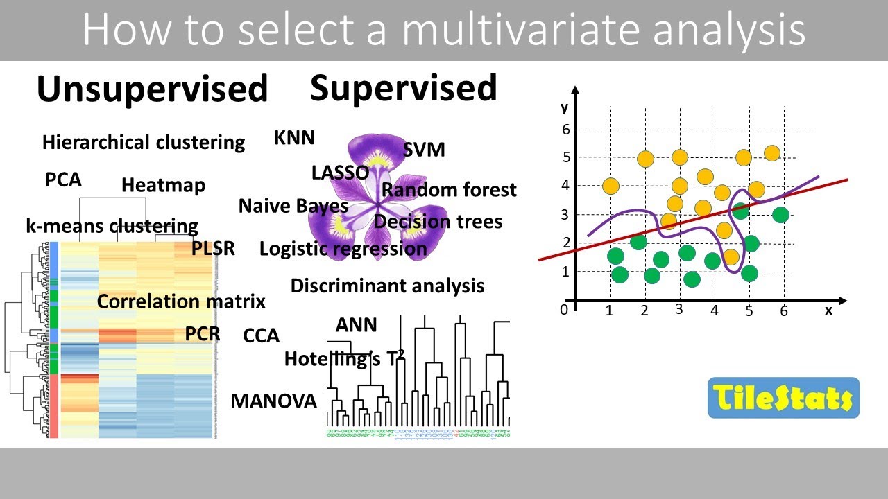How to select a multivariate analysis or machine learning method