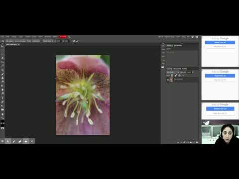 Photopea | Online Photo Editor