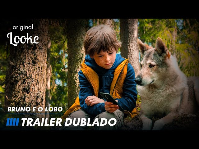 Netflix, Prime Video, HBO, Disney, Star+: what comes to streaming in ...