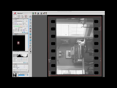Tips on Scanning Black and White Film – Figital Revolution