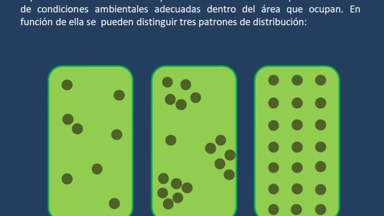 Ejemplos De Disposición De Asientos En El Aula