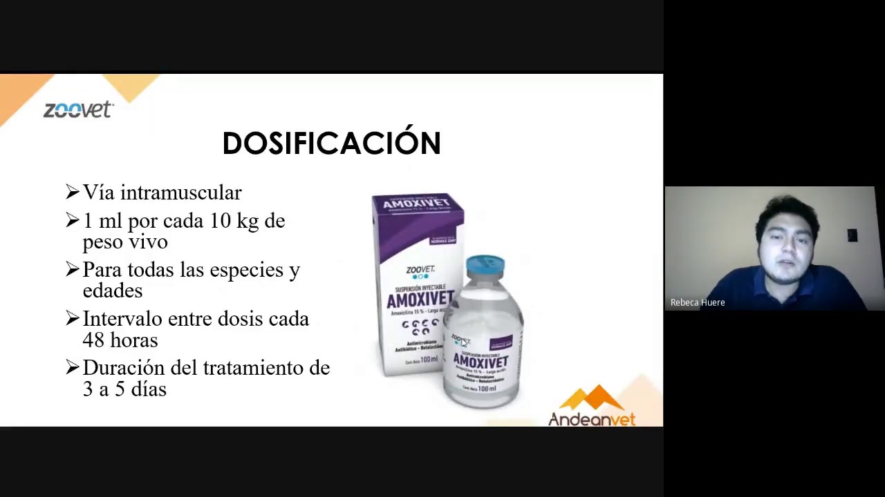 AMOXIVET- Antibiótico Inyectable ( Amoxicilina 15%)
