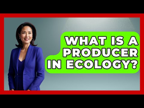 What Is A Producer In Ecology? - Biology For Everyone