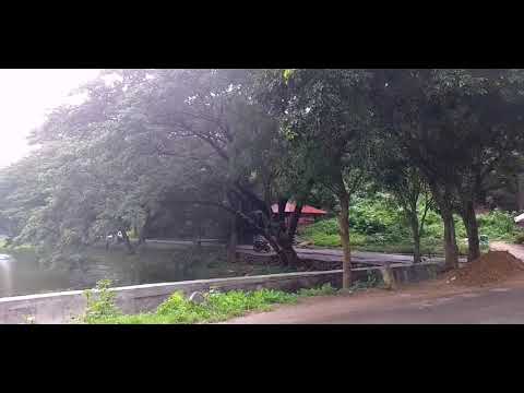PERINKULAM PLACE ALATHUR PALAKKAD Kerala state เดชเตเดฐเดฟเดเตเดเตเดณเด เดเดฒเดคเตเดคเตเตผ เดชเดพเดฒเดเตเดเดพเดเต