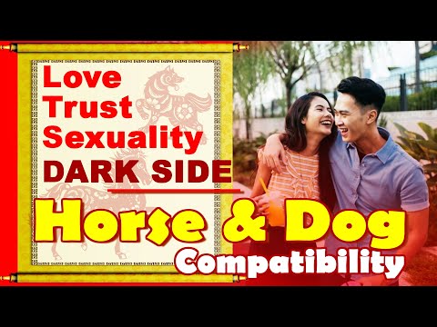 Horse and Dog Compatibility in Love Life, Trust, Intimacy | Horse & Dog Chinese Zodiac Compatibility