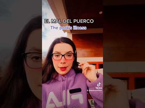 What's EL MAL DEL PUERCO? 🐖