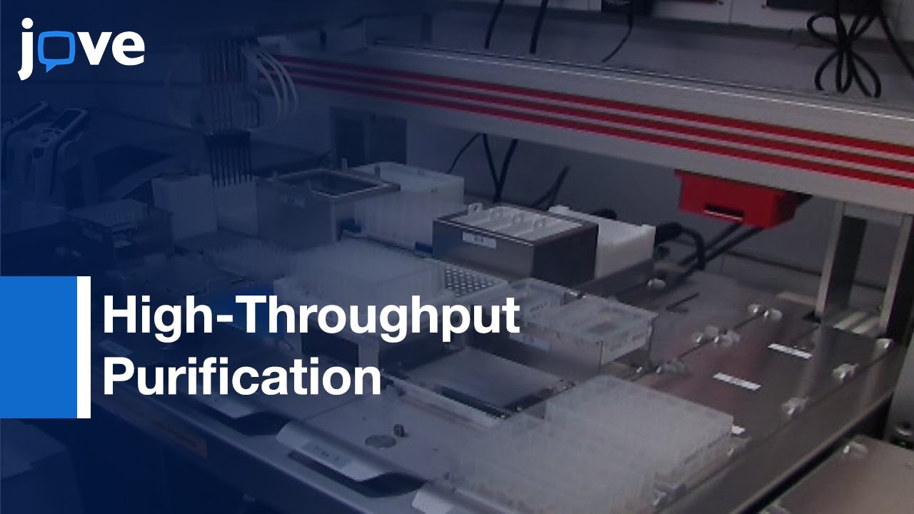 High-Throughput Purification: Affinity-Tagged Recombinant Proteins l Protocol Preview