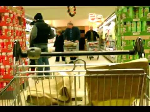 morrisons supermarket  at christmas