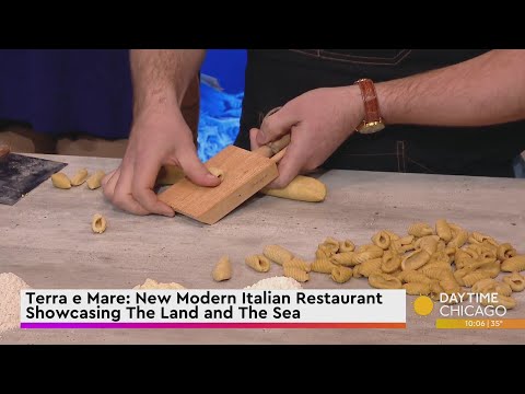 Terra e Mare: New Modern Italian Restaurant Showcasing The Land and The Sea