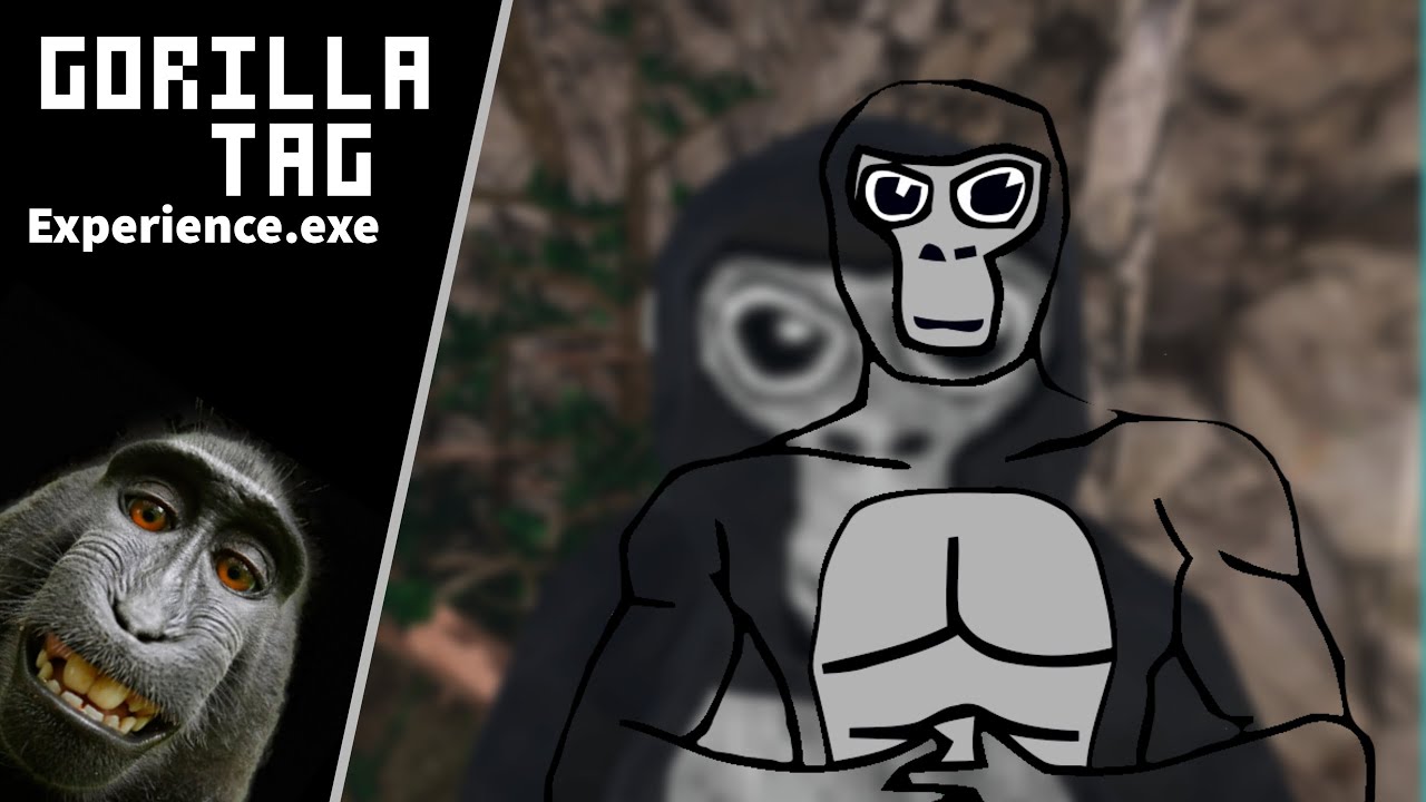 Gorilla Tag Experience.EXE