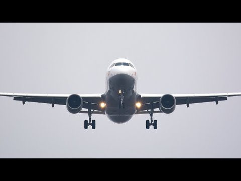 Where did all the airline bailout money go?